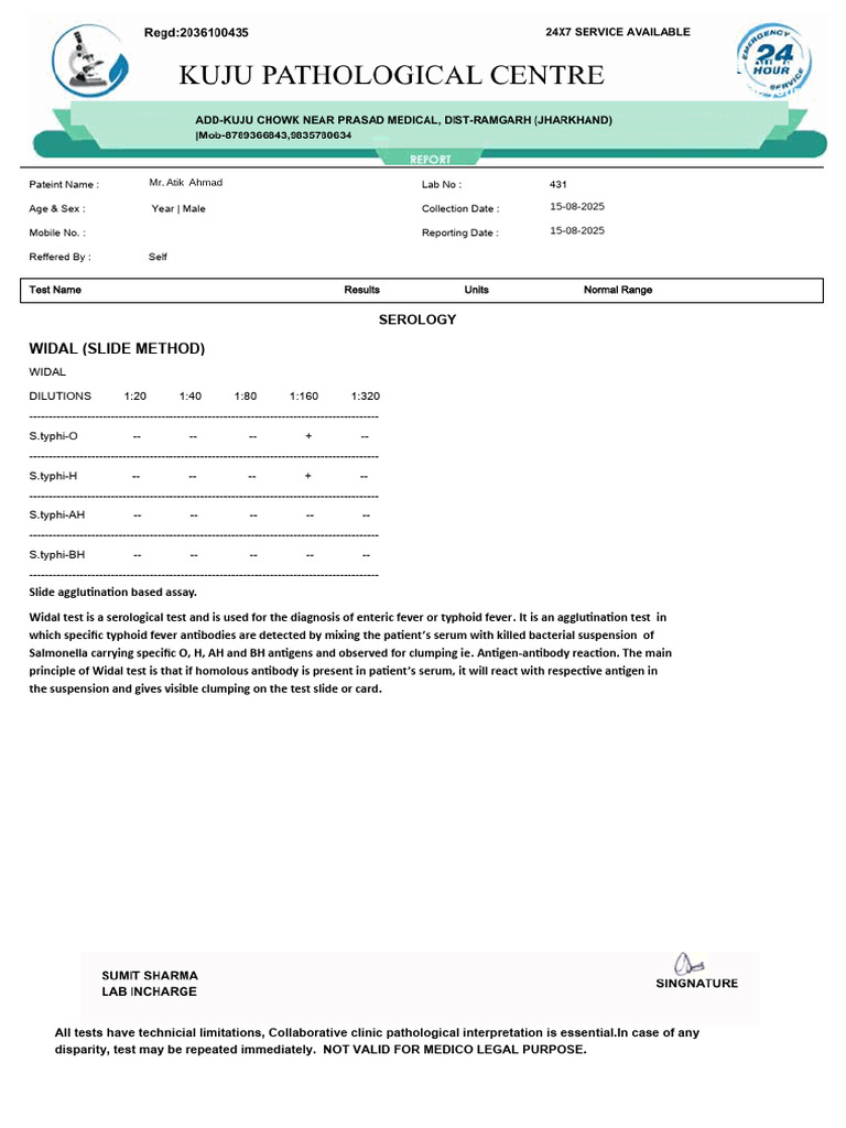 Typhoid Report | PDF