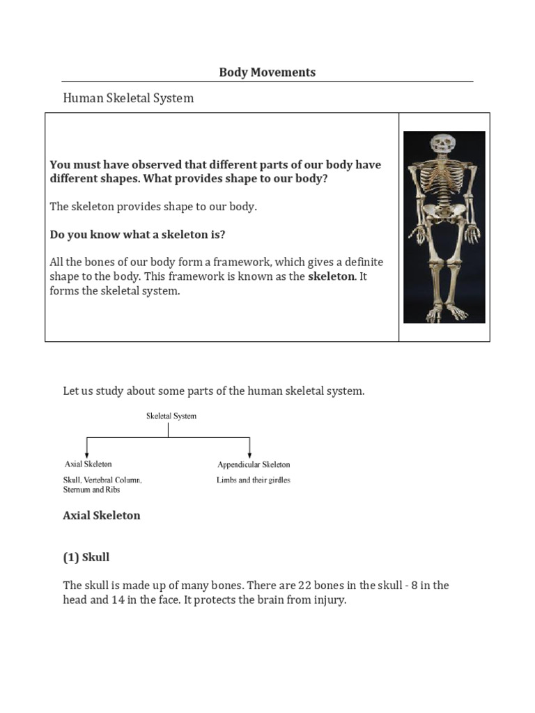 Body Movements | PDF | Skeleton | Thorax