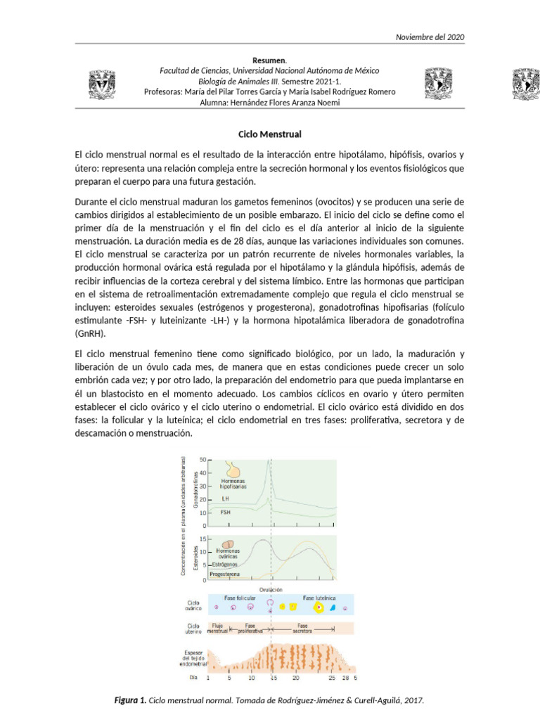 Resumen C.Menstrual | PDF | Ciclo menstrual | Ovario