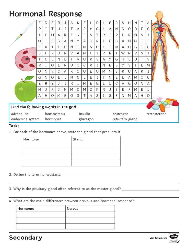 Hormones and Homeostasis Explained | PDF | Hormone | Endocrine System