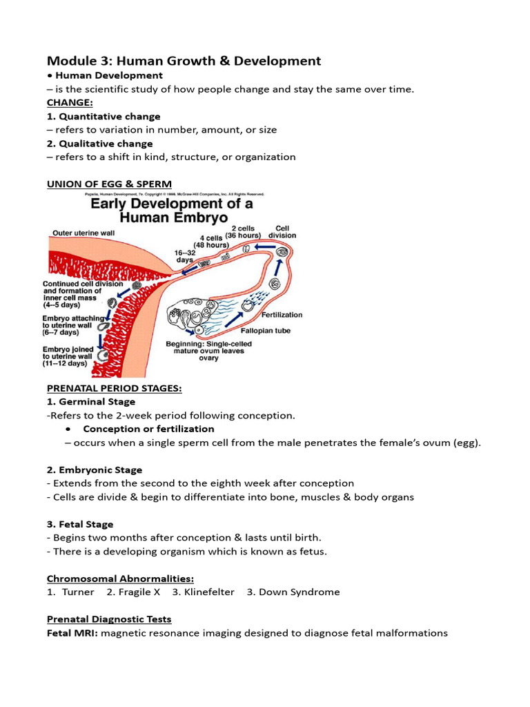 Human Growth and Development Overview | PDF | Prenatal Development ...