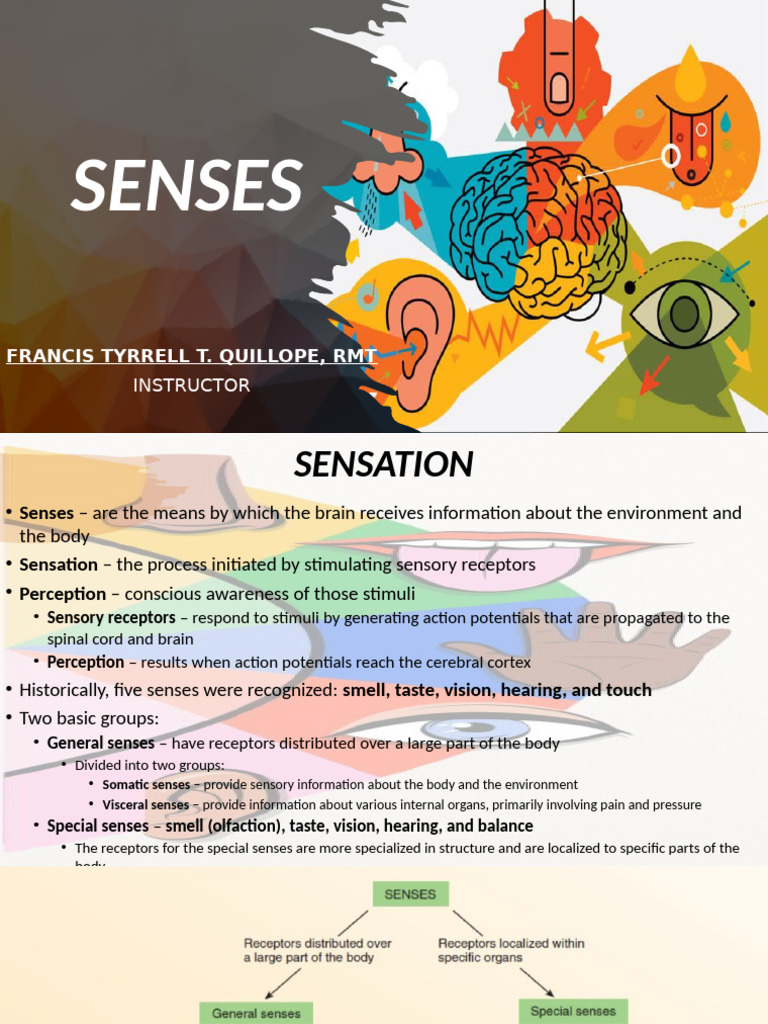 Anaphy Chapter 9 PPT Senses | PDF | Senses | Taste