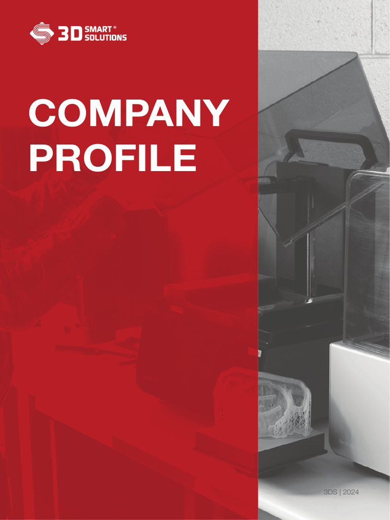 3DS Profile | PDF
