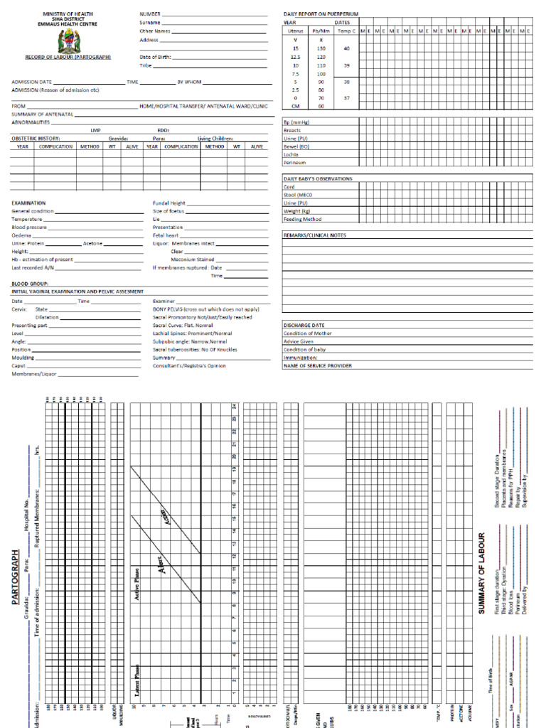 Partograph 2025 | PDF