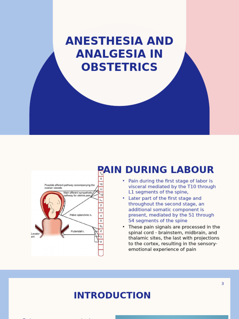 Anesthesia and Analgesia in Obstetrics | PDF | Anesthesia | Childbirth