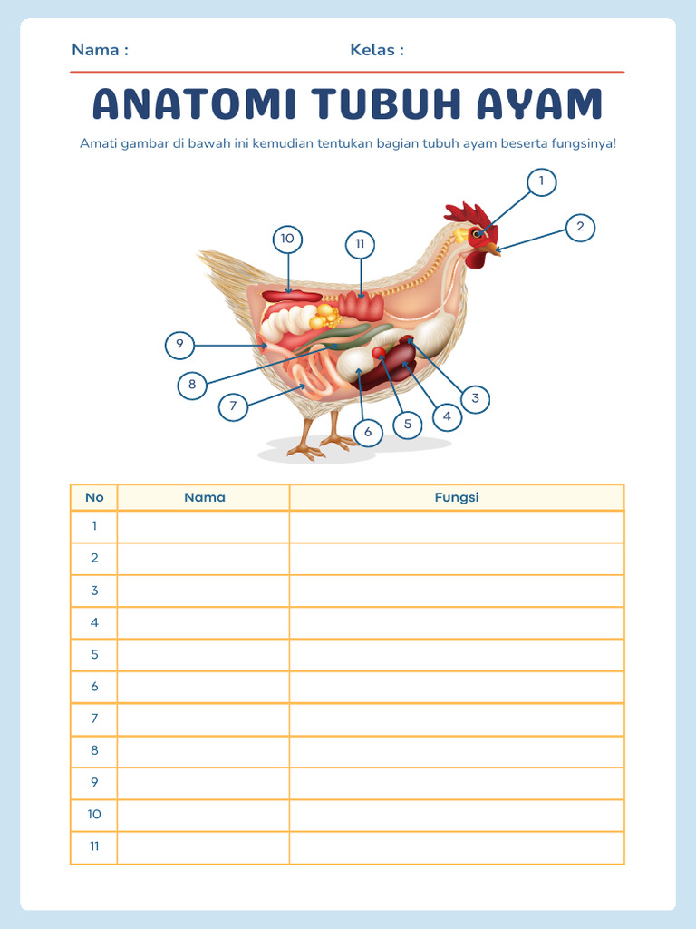 Bagian dan Fungsi Tubuh Ayam | PDF