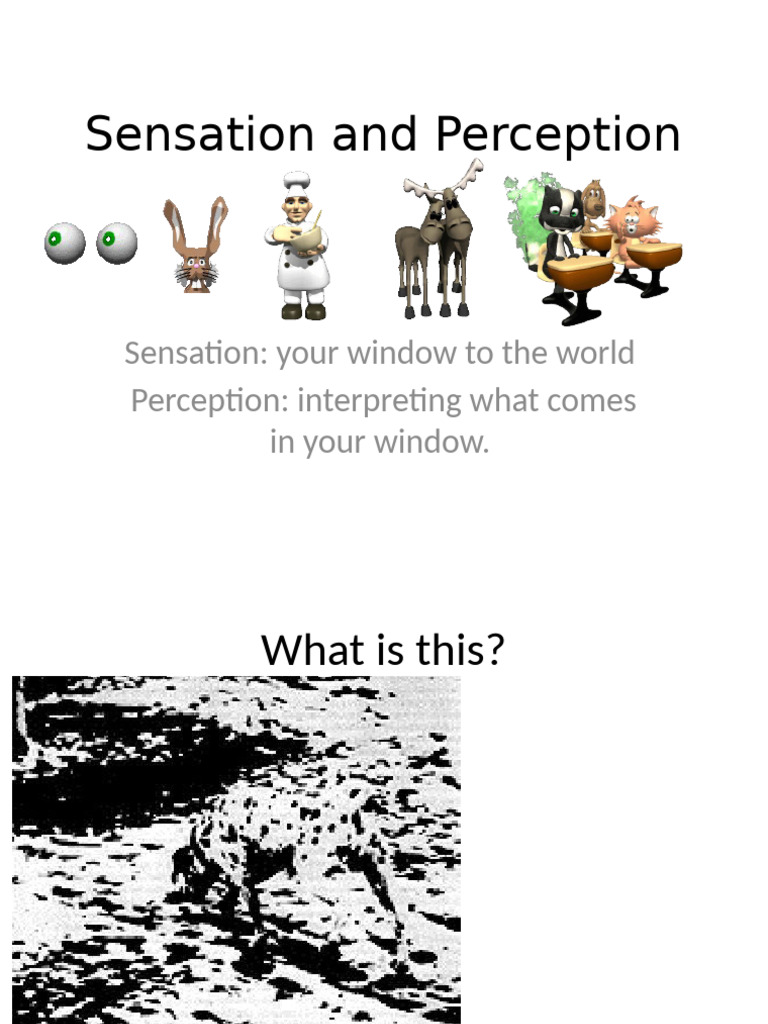 AP Psych Unit 4 Lecture - Module 16 and 17 | PDF | Attention ...