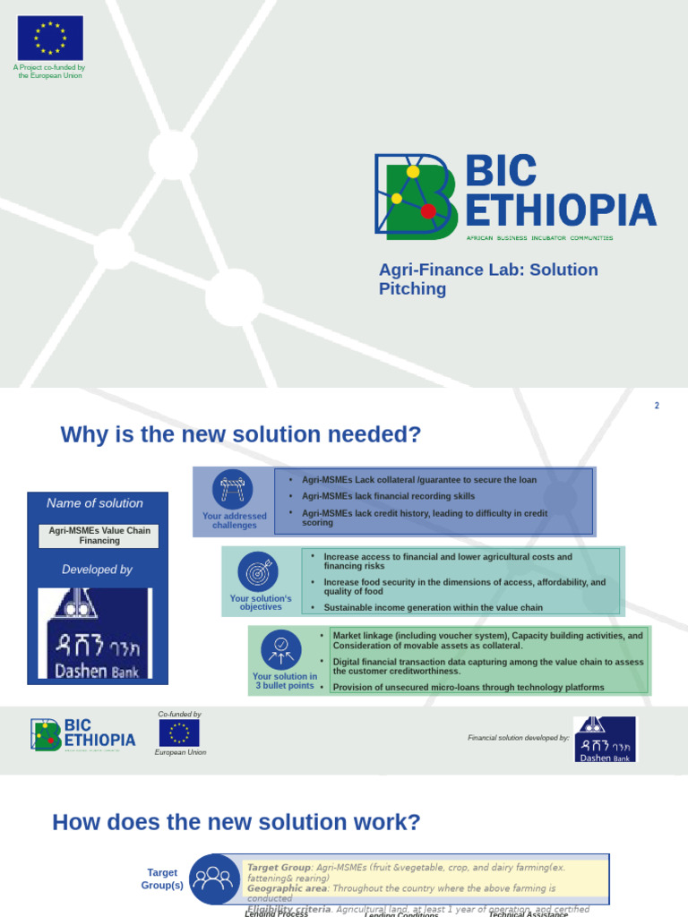 BIC Financial Solution Pitch Deck | PDF | Loans | Credit