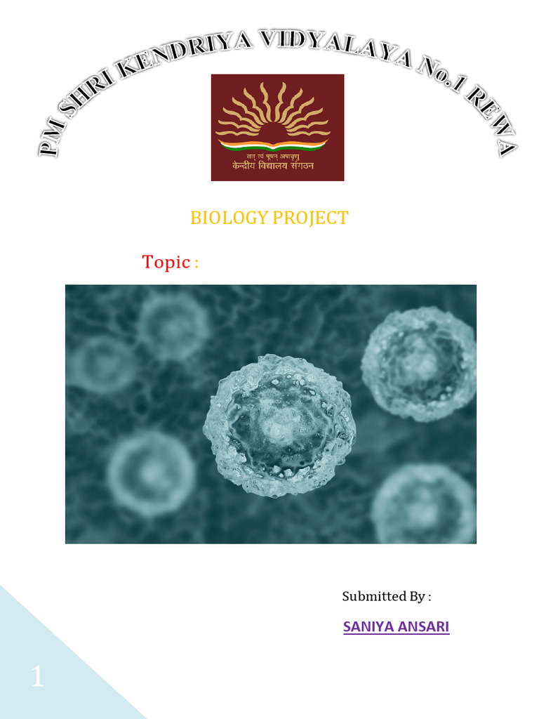 Stem Cell Technology Overview and Uses | PDF | Stem Cell | Cell Potency