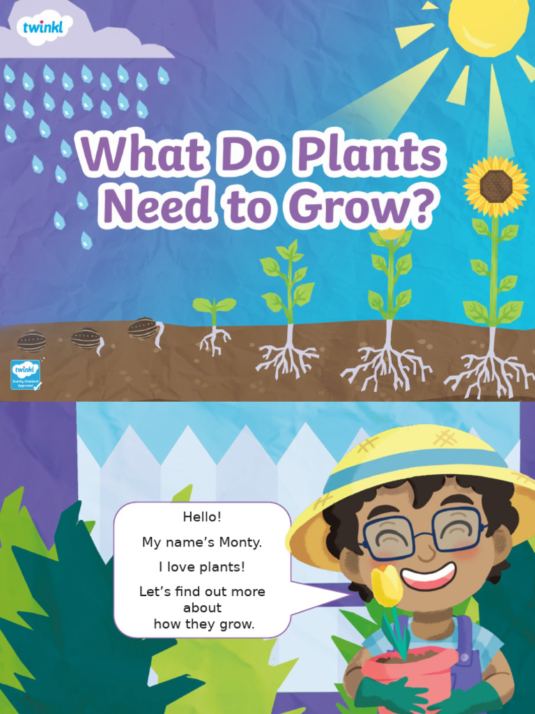 What Do Plants Need To Grow Y3 W4D3 | PDF | Flowers | Petal