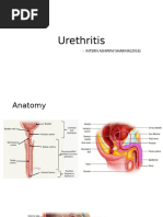 Updated BASHH Guidelines for NGU Management | PDF | Clinical Medicine ...