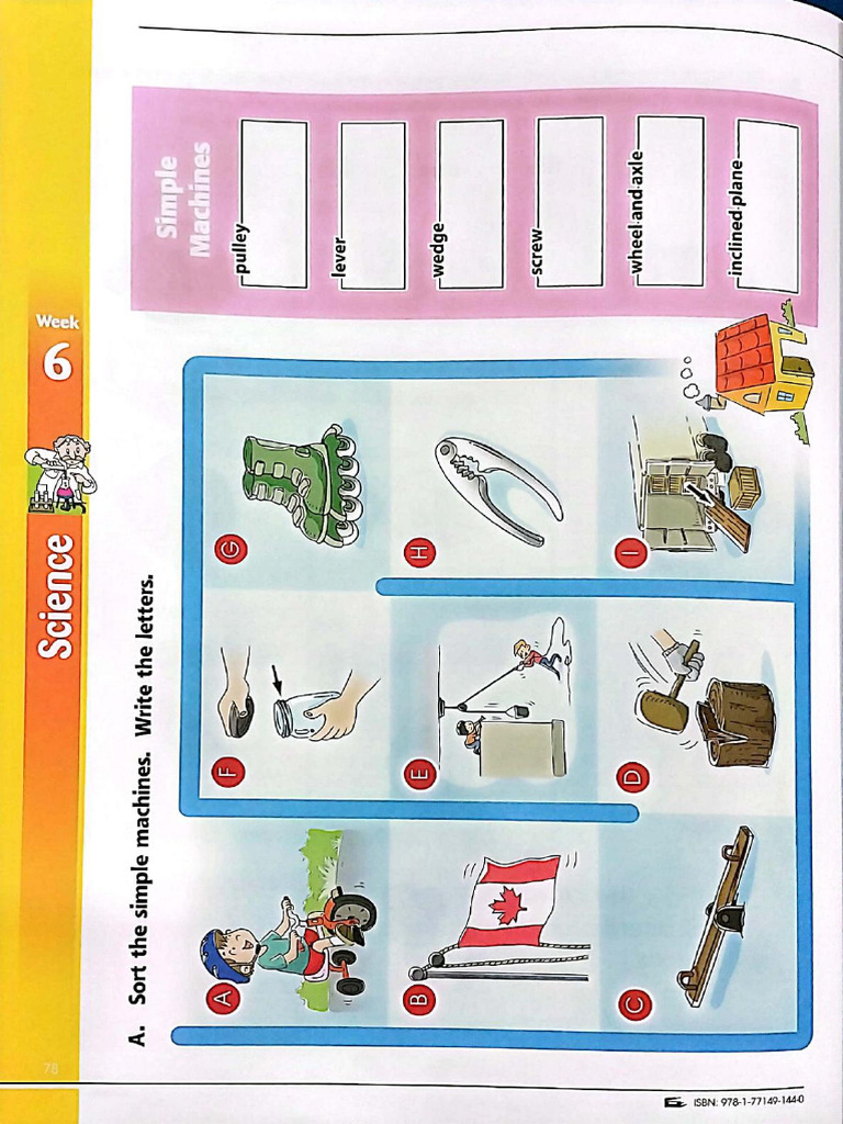 Week 6, Science | PDF