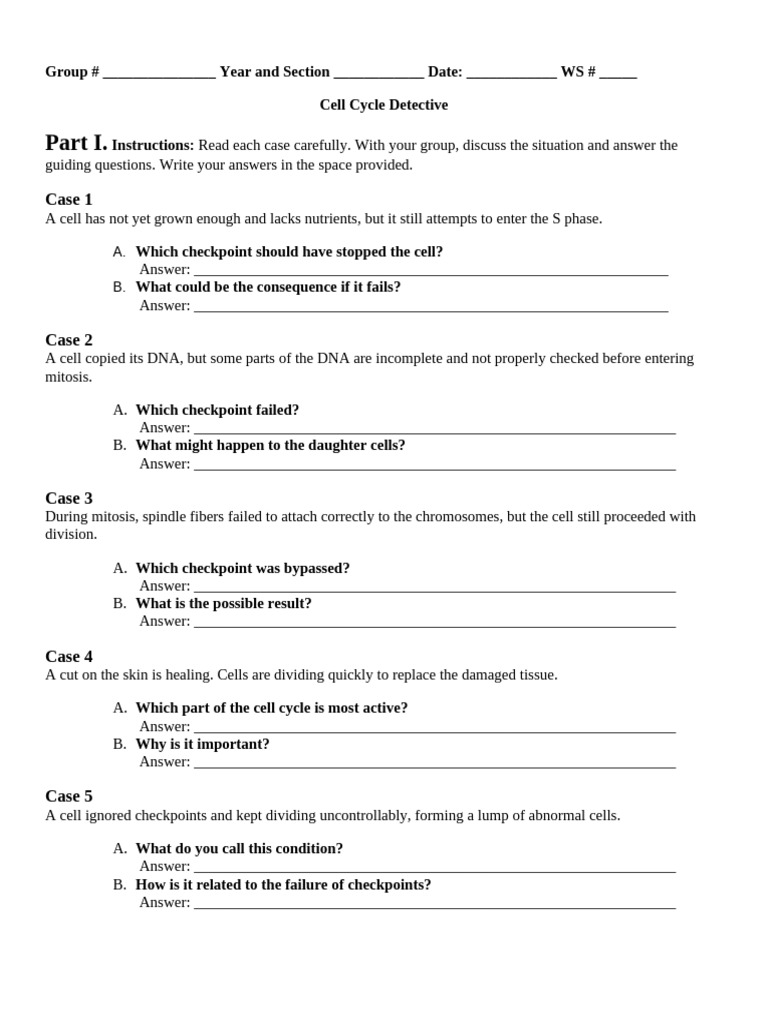 Worksheet 2.2 B Cell Cycle Detective Students Worksheet | PDF