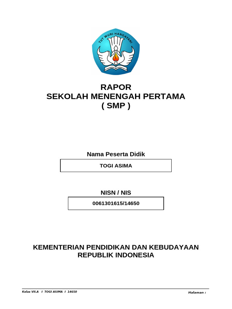 Cover Raport SMP | PDF