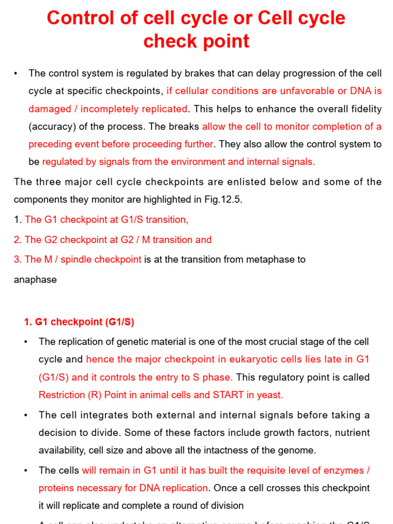 Cell Cycle Check Point | PDF | Cell Cycle | Mitosis