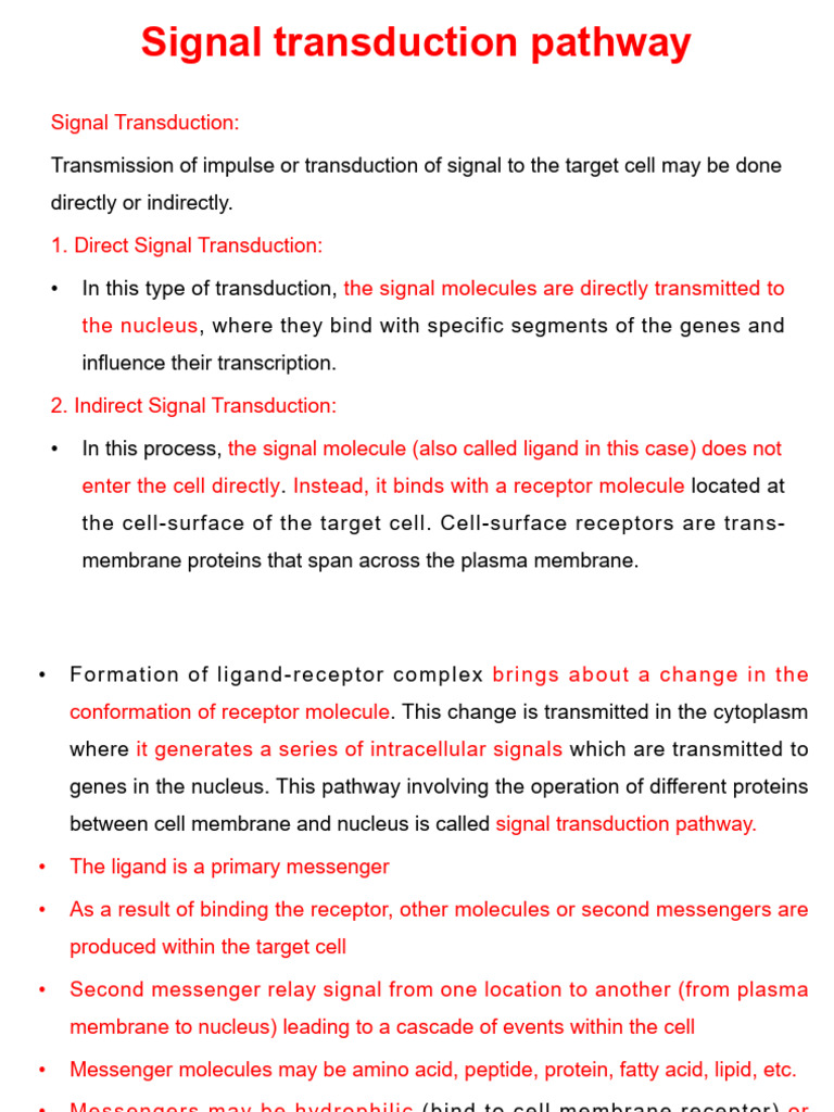 Signal Transduction Pathway | PDF | Cell Signaling | Signal Transduction