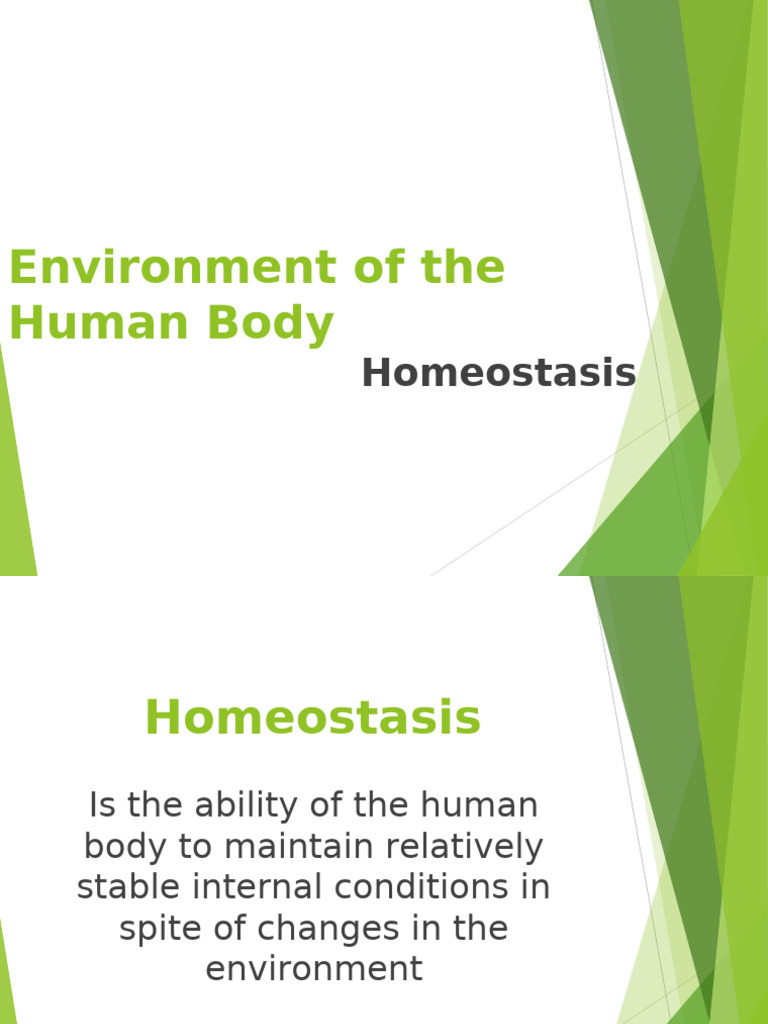 Homeostasis in the Human Body | PDF | Homeostasis | Stimulus (Physiology)