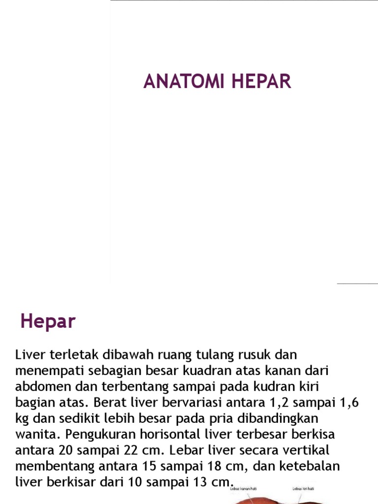 Anatomi Hepar | PDF