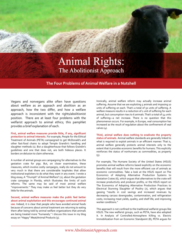 4 Problems Animal Welfare | PDF | Animal Welfare | Bioethics