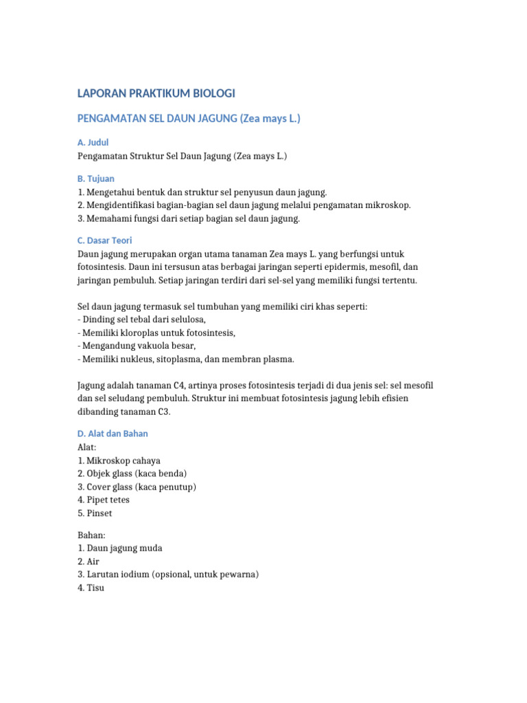 Struktur Sel Daun Jagung Zea Mays | PDF