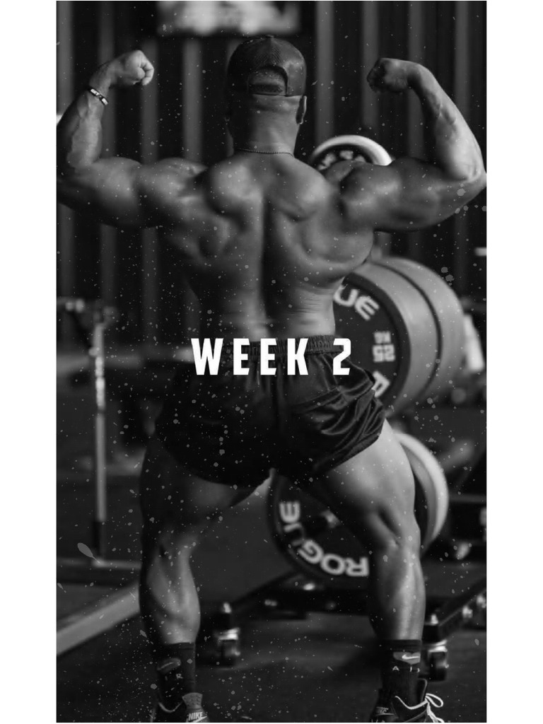 Week 2 | PDF