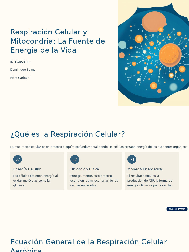 Respiracion Celular y Mitocondria La Fuente de Energia de La Vida | PDF ...
