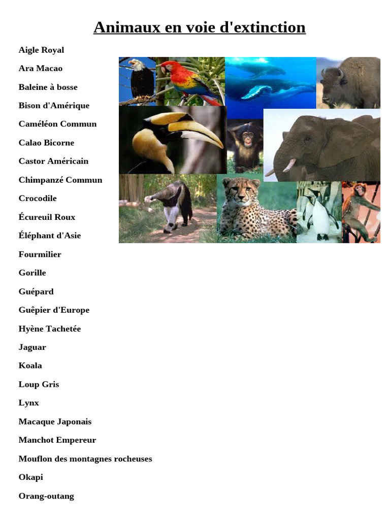 Animaux menacés : liste des espèces | PDF