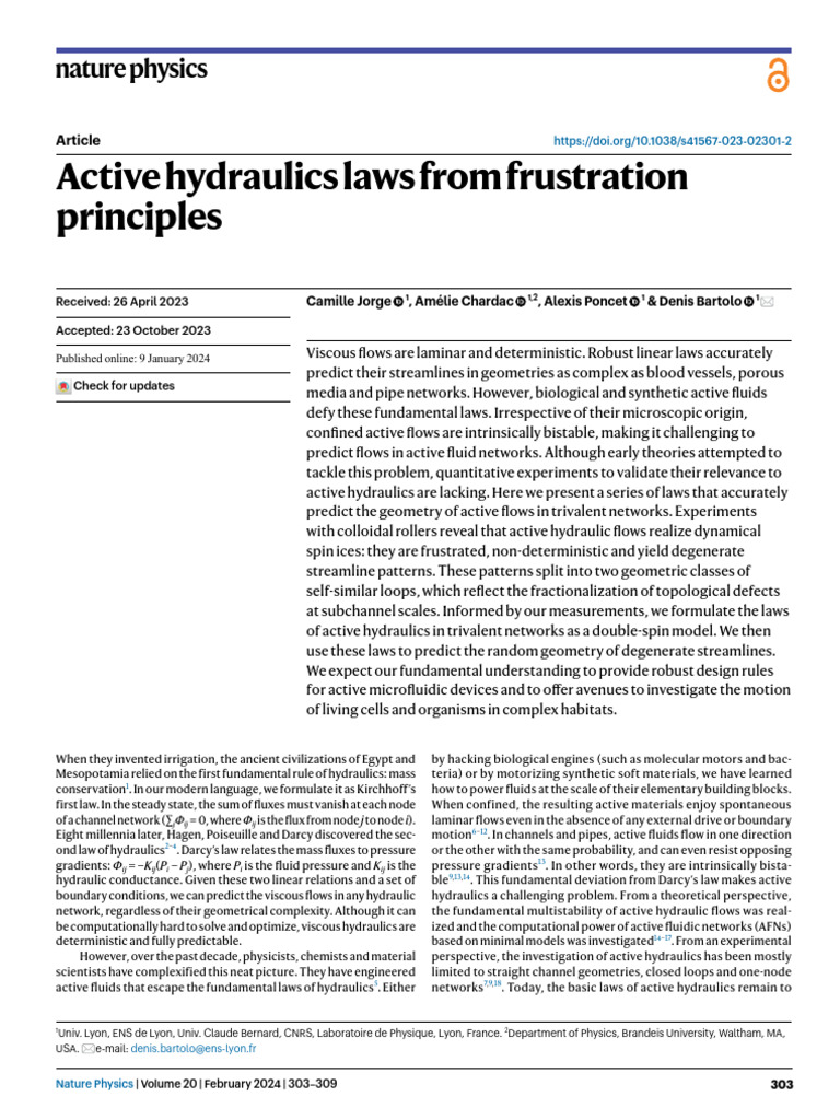 Active Hydraulics Laws in Fluid Networks | PDF | Vortices | Fluid Dynamics