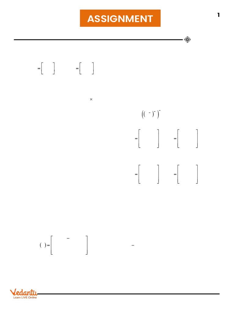 Matrices Assignment | PDF | Matrix (Mathematics) | Matrix Theory