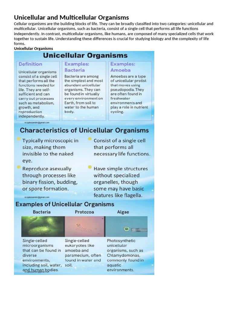 Unicellular and Multicellular Organisms | PDF