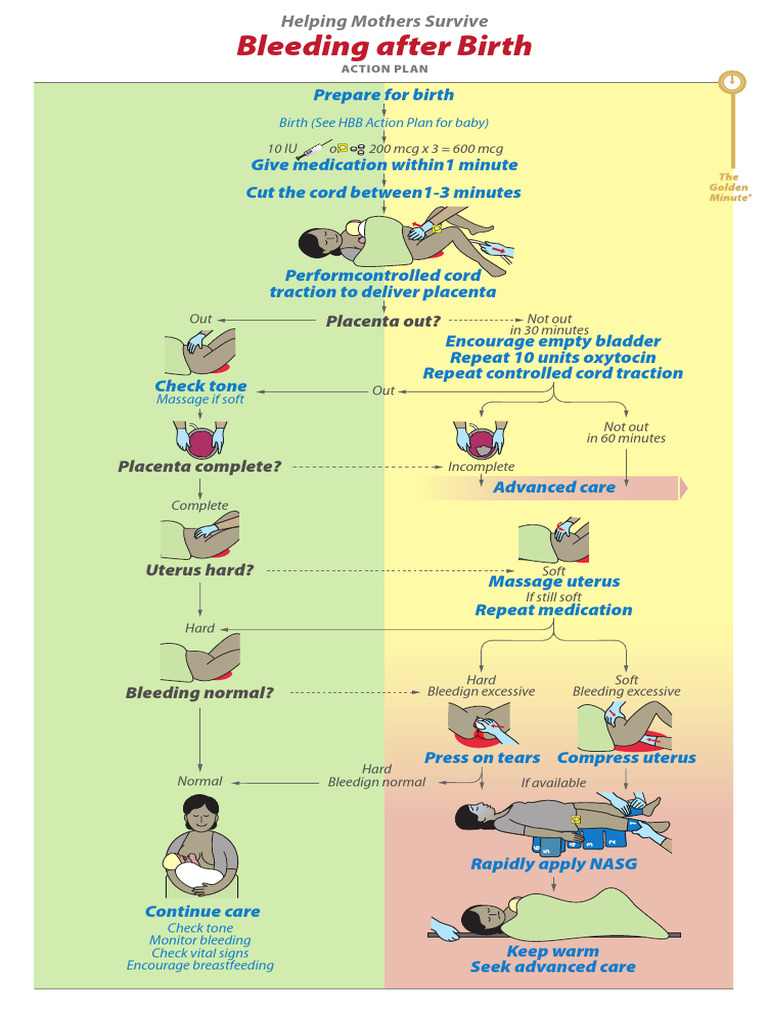 Bleeding After Birth | PDF | Clinical Medicine | Medical Specialties