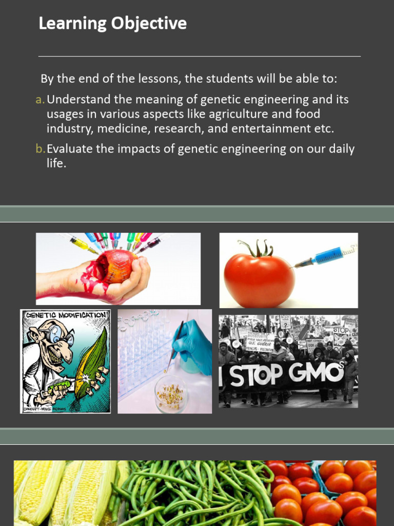Understanding GMOs: Benefits and Risks | PDF | Genetically Modified ...