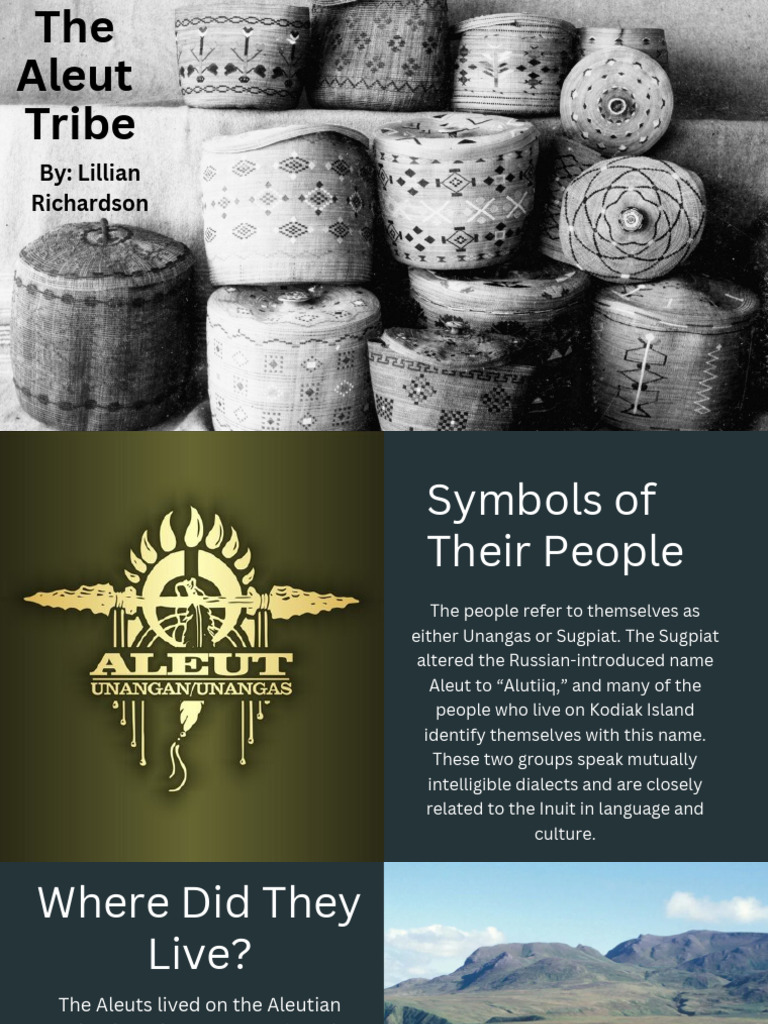 The Aluet | PDF