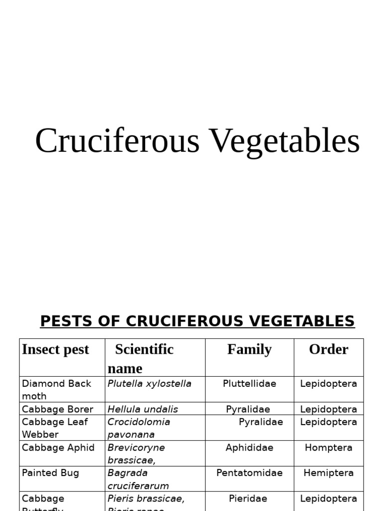 Cruciferous Veg | PDF | Pupa | Lepidoptera