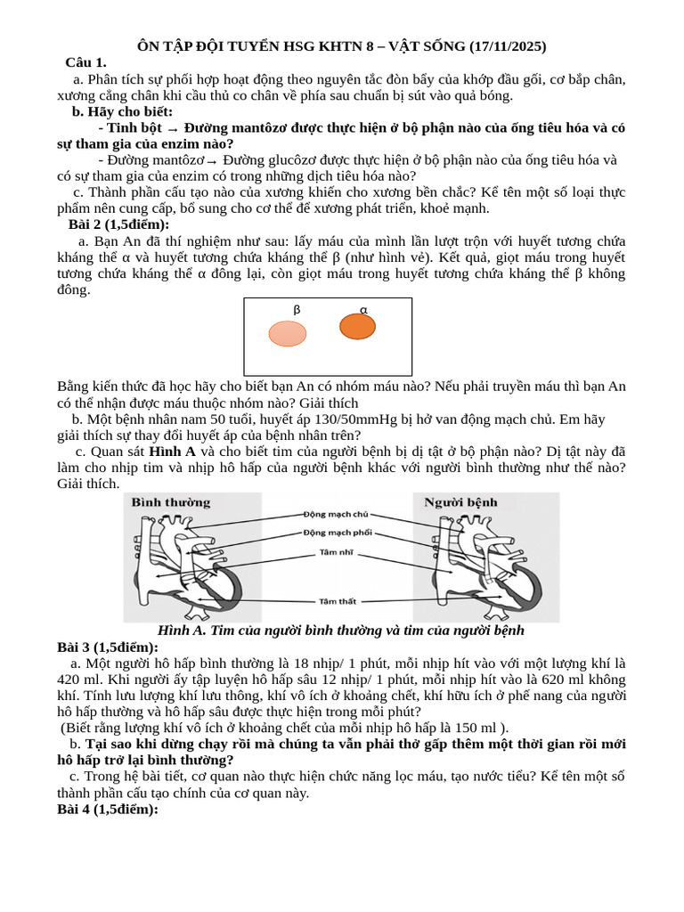 Ôn Tập Đội Tuyển Hsg Khtn 8 17112025 | PDF