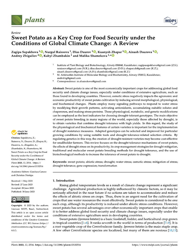 Sapakova Et Al Sweet Potato Key for Food Securityglobal Climat Change ...