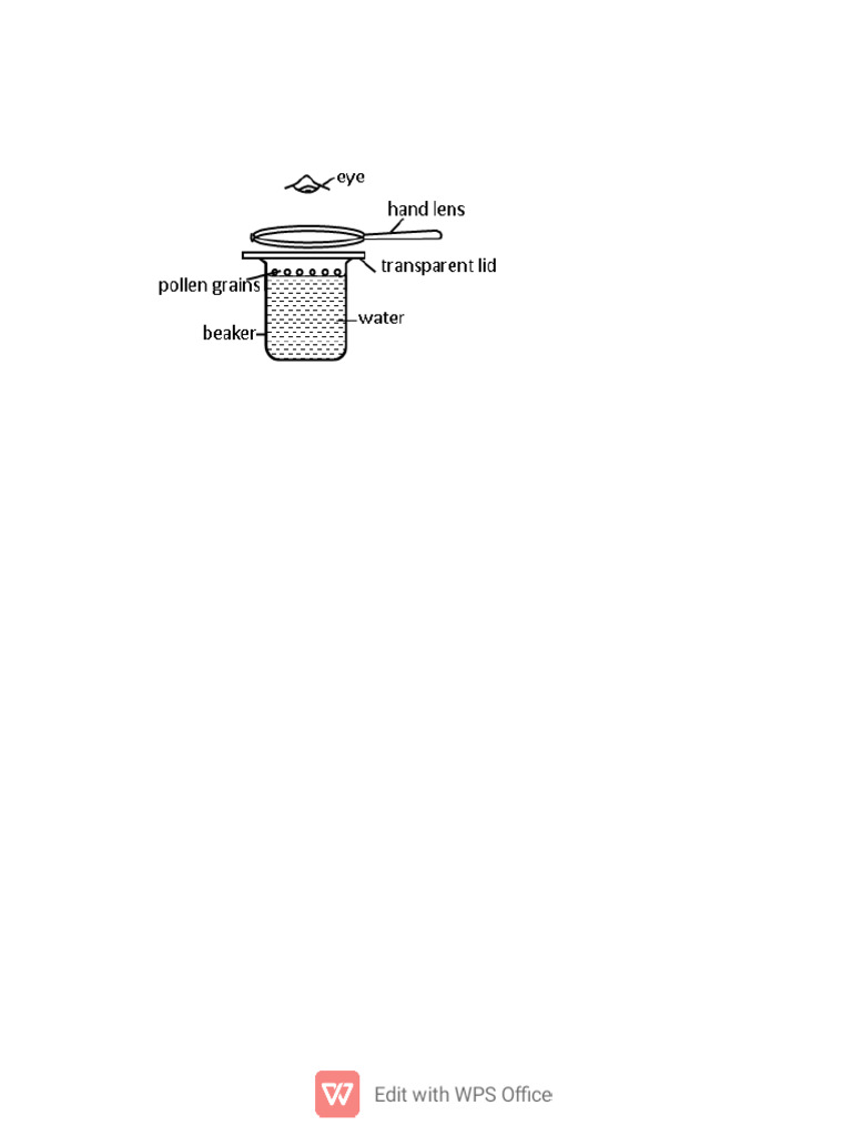 Physics Paper 1 Question 5 Diagram | PDF