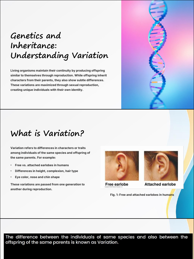 Genetics and Inheritance Understanding Variation | PDF | Dominance ...