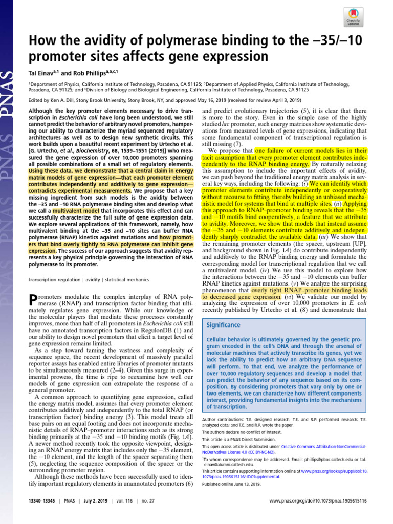 Avidity RNAP Rob Phillips | PDF | Promoter (Genetics) | Gene Expression