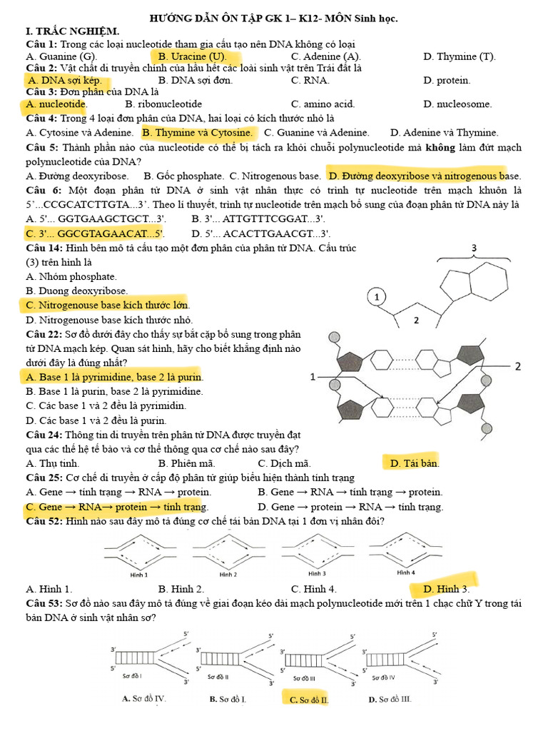 HƯỚNG DẪN ÔN TẬP GK 1 | PDF