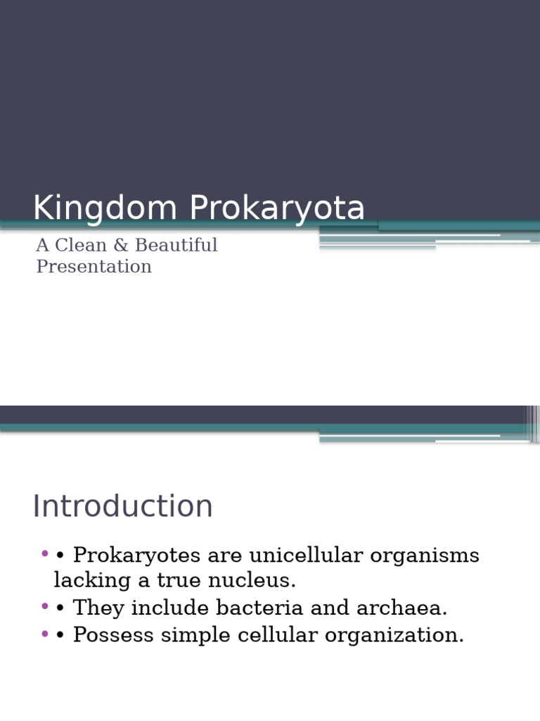 Kingdom Prokaryota Presentation | PDF
