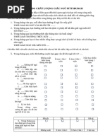 PHQ 9 Vietnamese | PDF