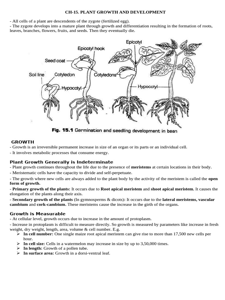 Plant Growth and Development Overview | PDF | Plant Hormone | Auxin