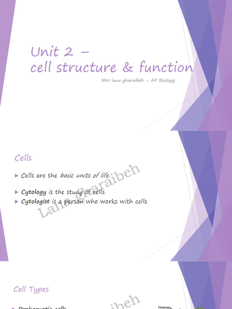 Unit 2 AP Bio | PDF | Endoplasmic Reticulum | Cell Membrane