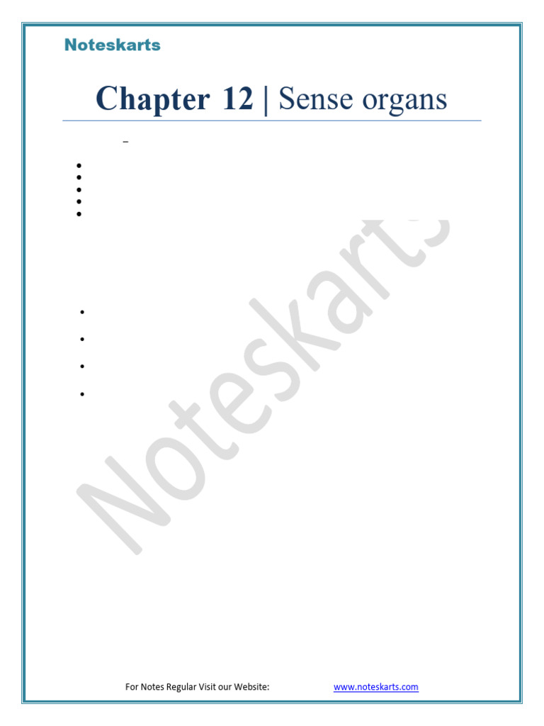 Chapter 12 Hap Sense Organs | PDF | Ear | Senses