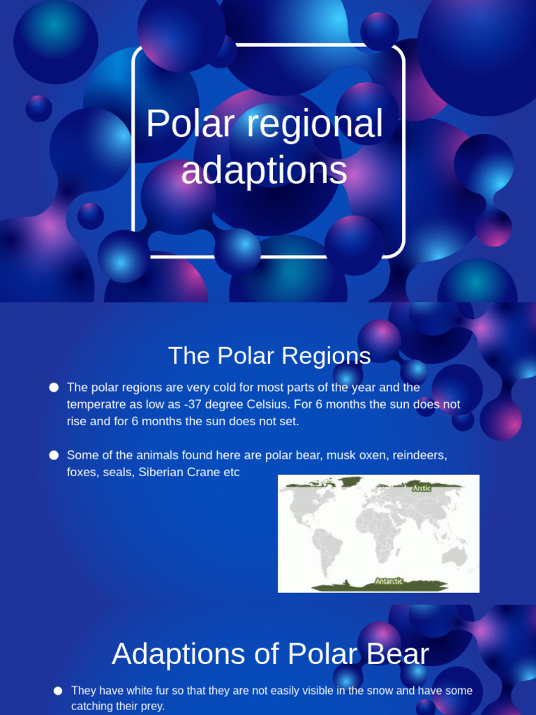 Polar Region Adaptations in Animals and Plants | PDF