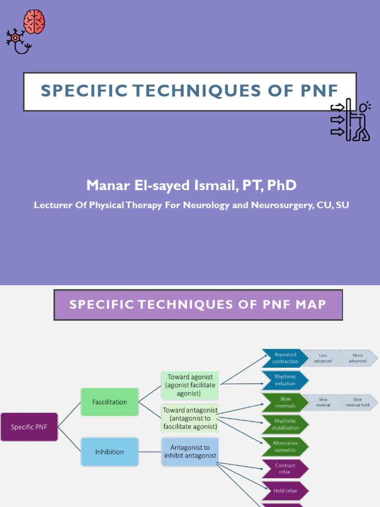 PNF Part Specific Techniques | PDF | Muscle Contraction ...