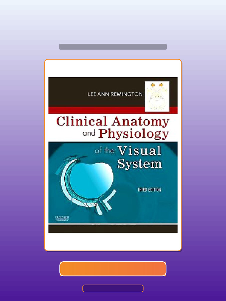 Ultimate Bundle Clinical Anatomy and Physiology of the Visual System ...