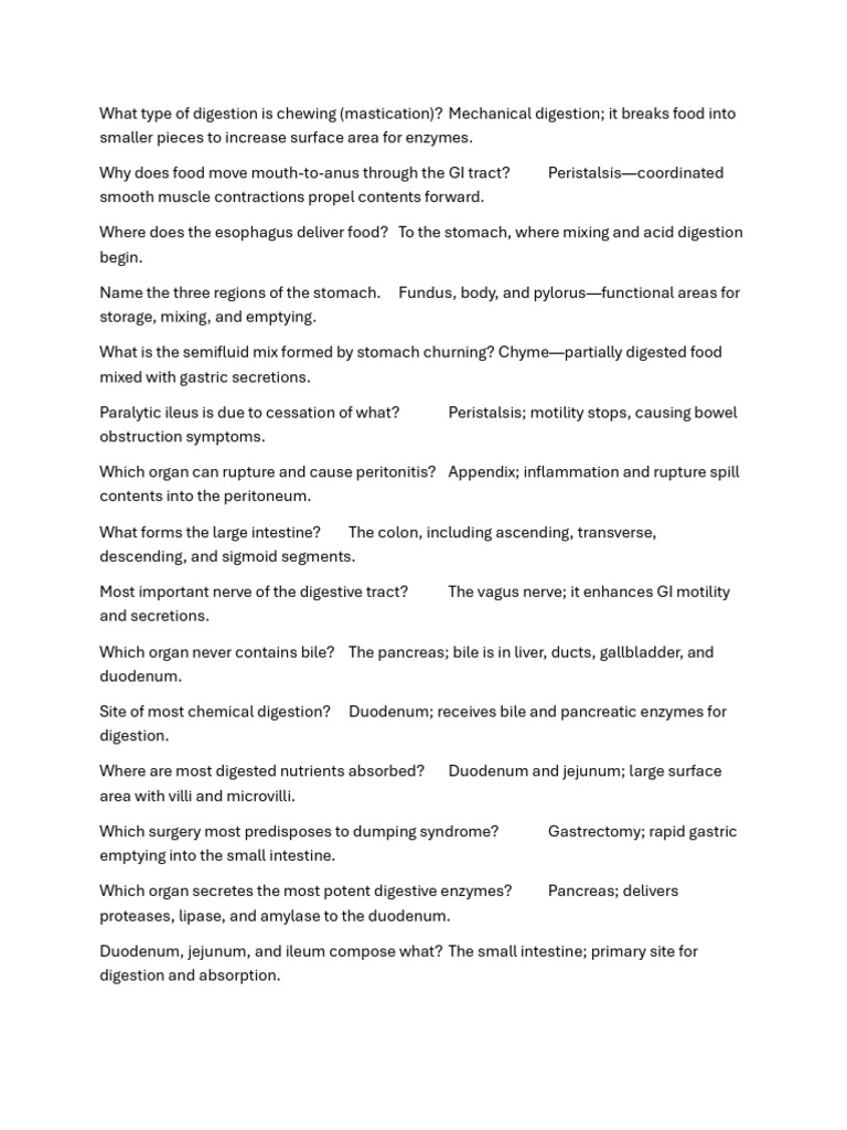 Overview of Human Digestion Processes | PDF | Human Digestive System ...