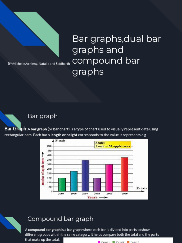 Understanding Bar Graphs Explained | PDF | Chart | Visualization (Graphics)